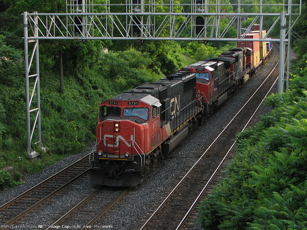 CN 382 at Snake